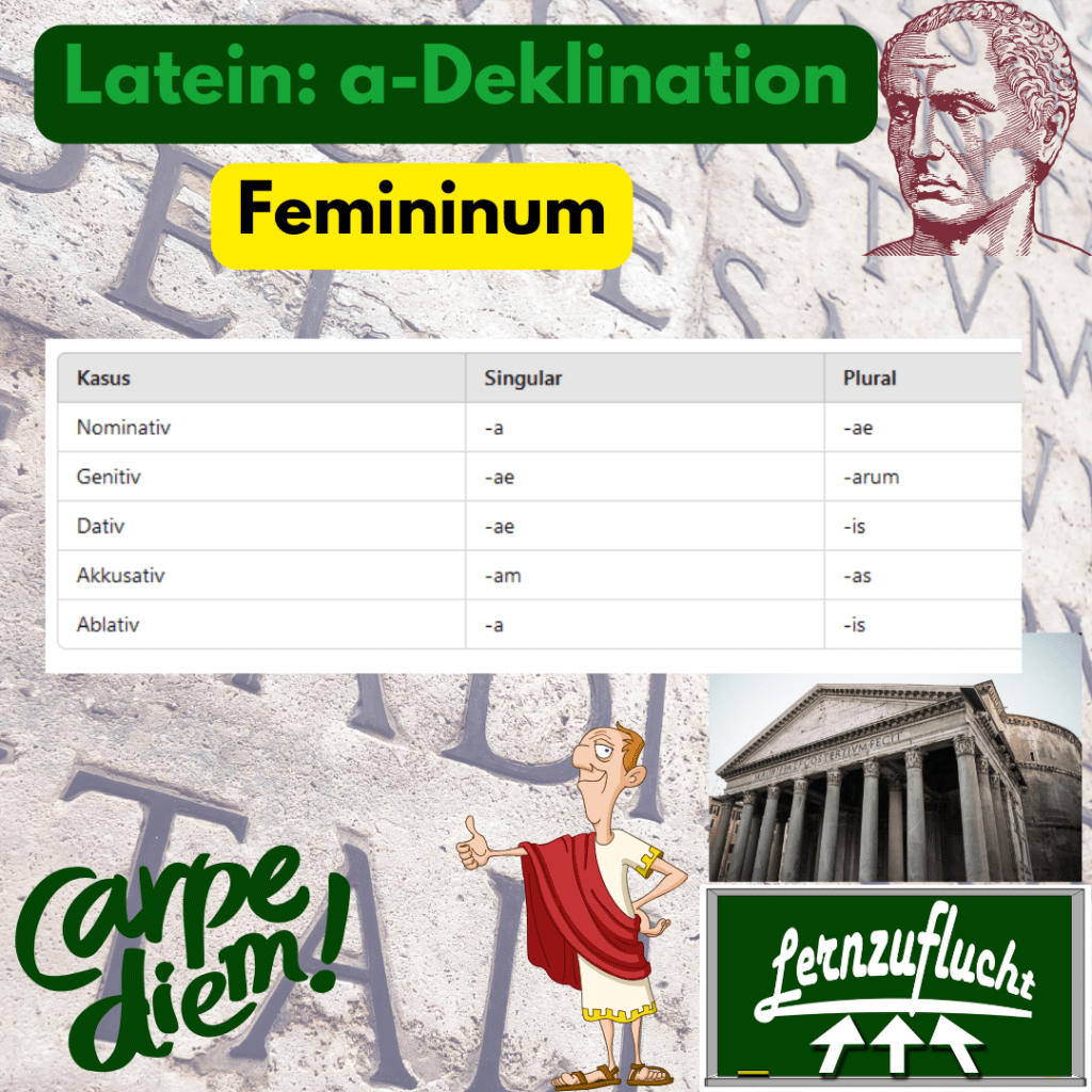 a-Deklination Latein - Lernzuflucht Hagen Nachhilfe